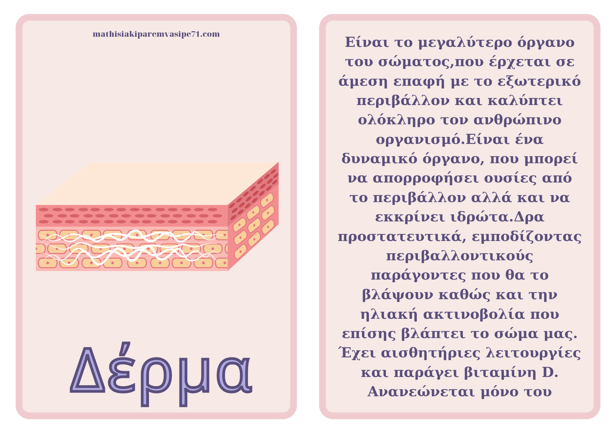 🧠🫀🫁Τα όργανα του σώματος – Μαθησιακή Παρέμβαση – Ζιώγου Ματίνα