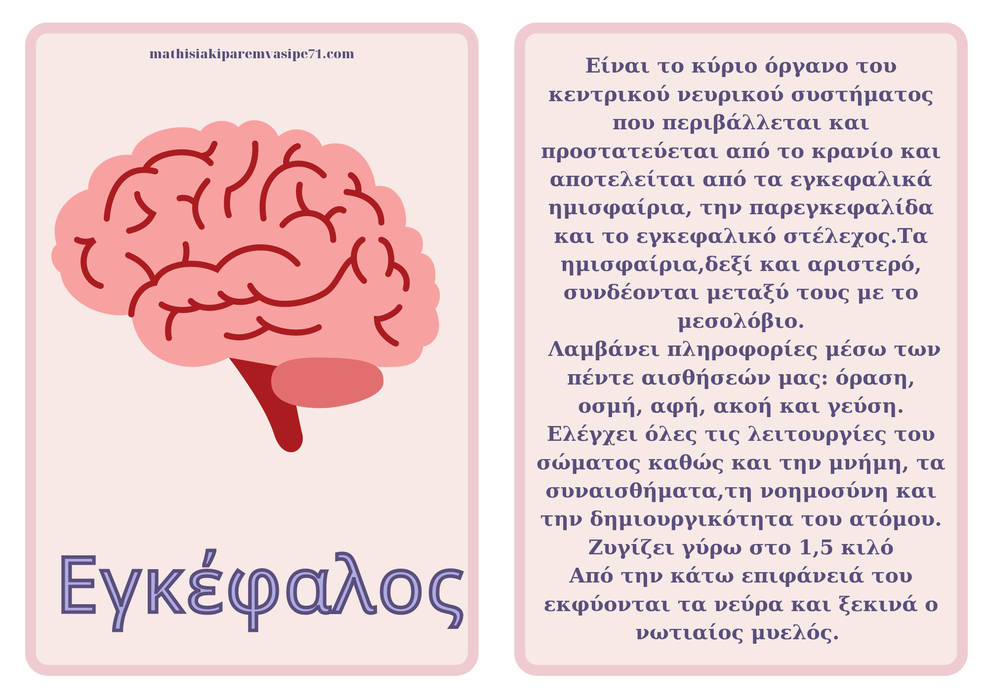 ΜΑΘΑΙΝΩ ΤΟ ΣΩΜΑ ΜΟΥ – Μαθησιακή Παρέμβαση – Ζιώγου Ματίνα