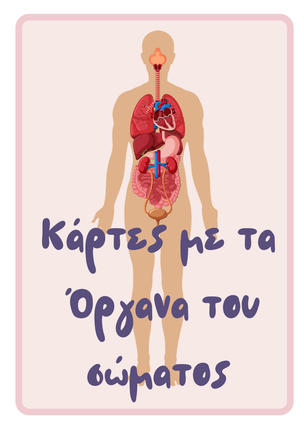 🧠🫀🫁Τα όργανα του σώματος – Μαθησιακή Παρέμβαση – Ζιώγου Ματίνα